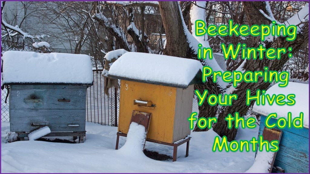 Beekeeping In Winter: Preparing Your Hives For The Cold Months