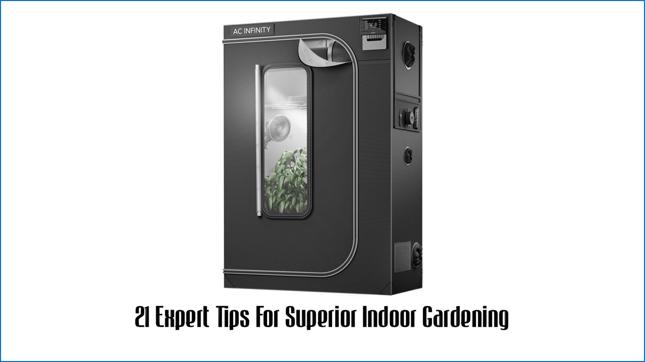 AC Infinity Grow Tent Mastery: 21 Expert Tips For Superior Indoor Gardening